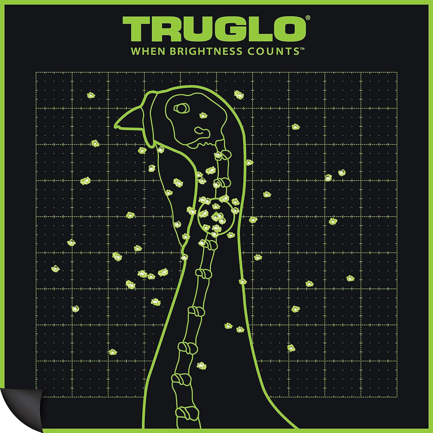 TRUGLO Tru-See Turkey Target 12" x 12" Pack of 6 | Powder Valley Outdoors